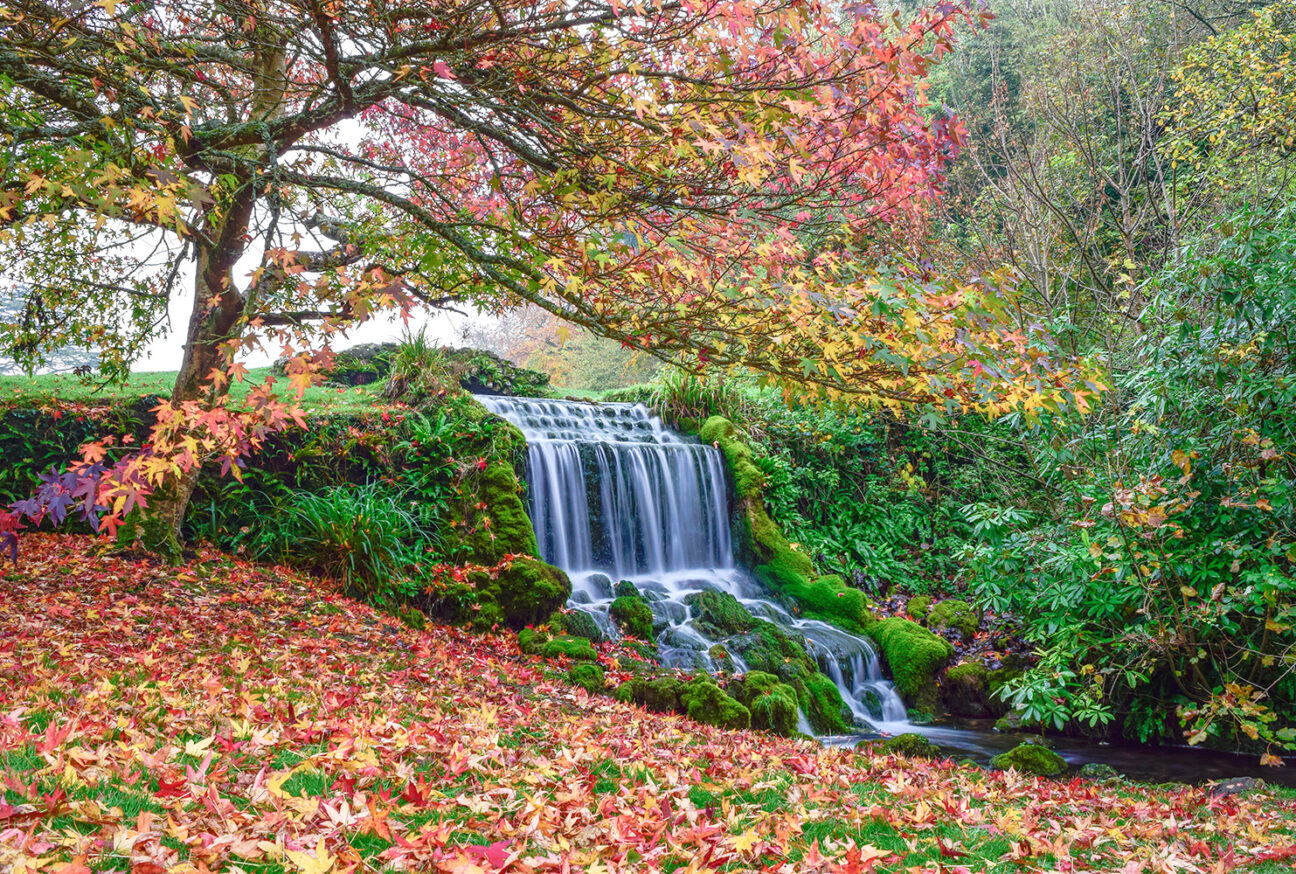 Holiday like a local in Dorset - 10 lesser-known places to visit!