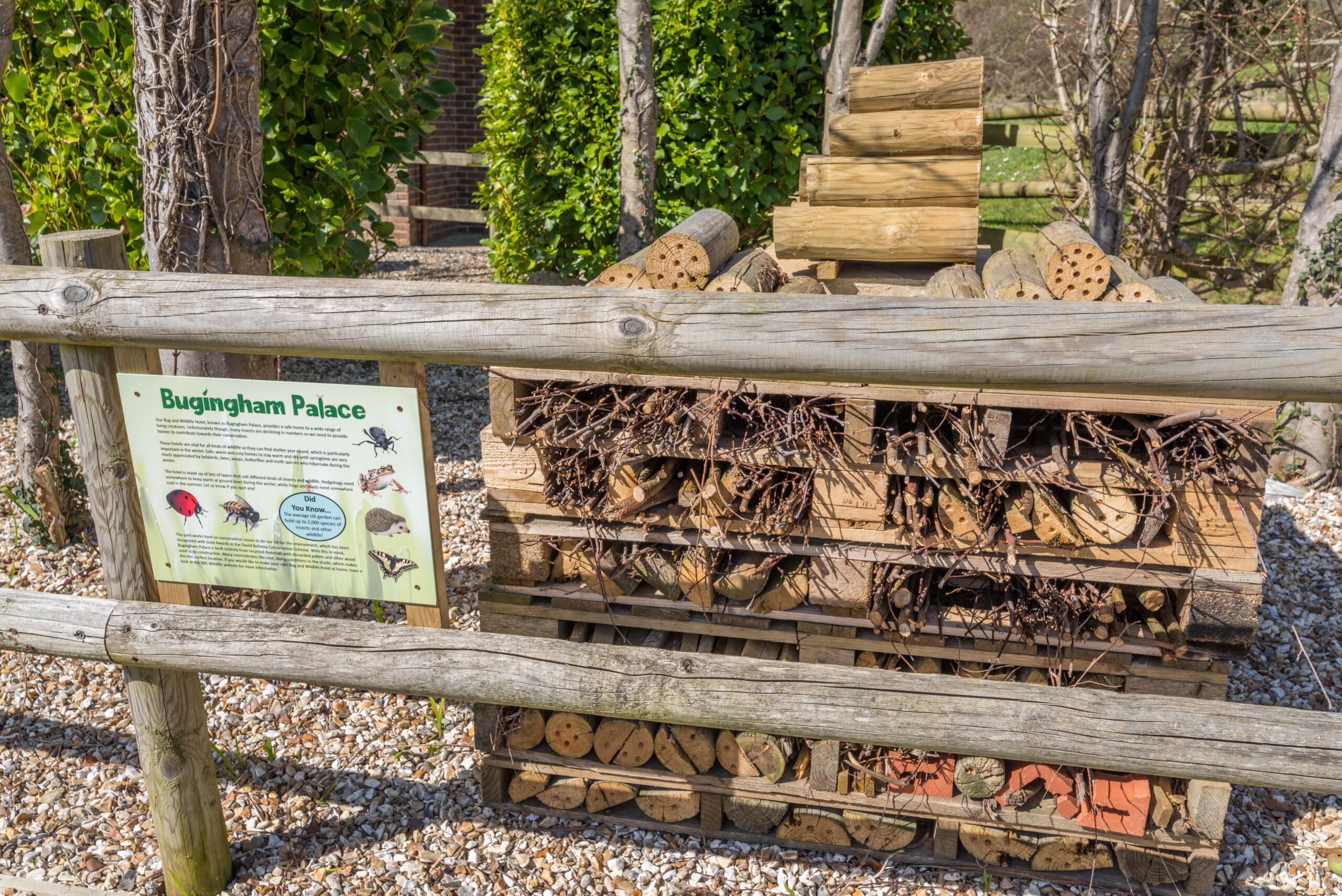 Bug Hotel - West Dorset Leisure Holidays