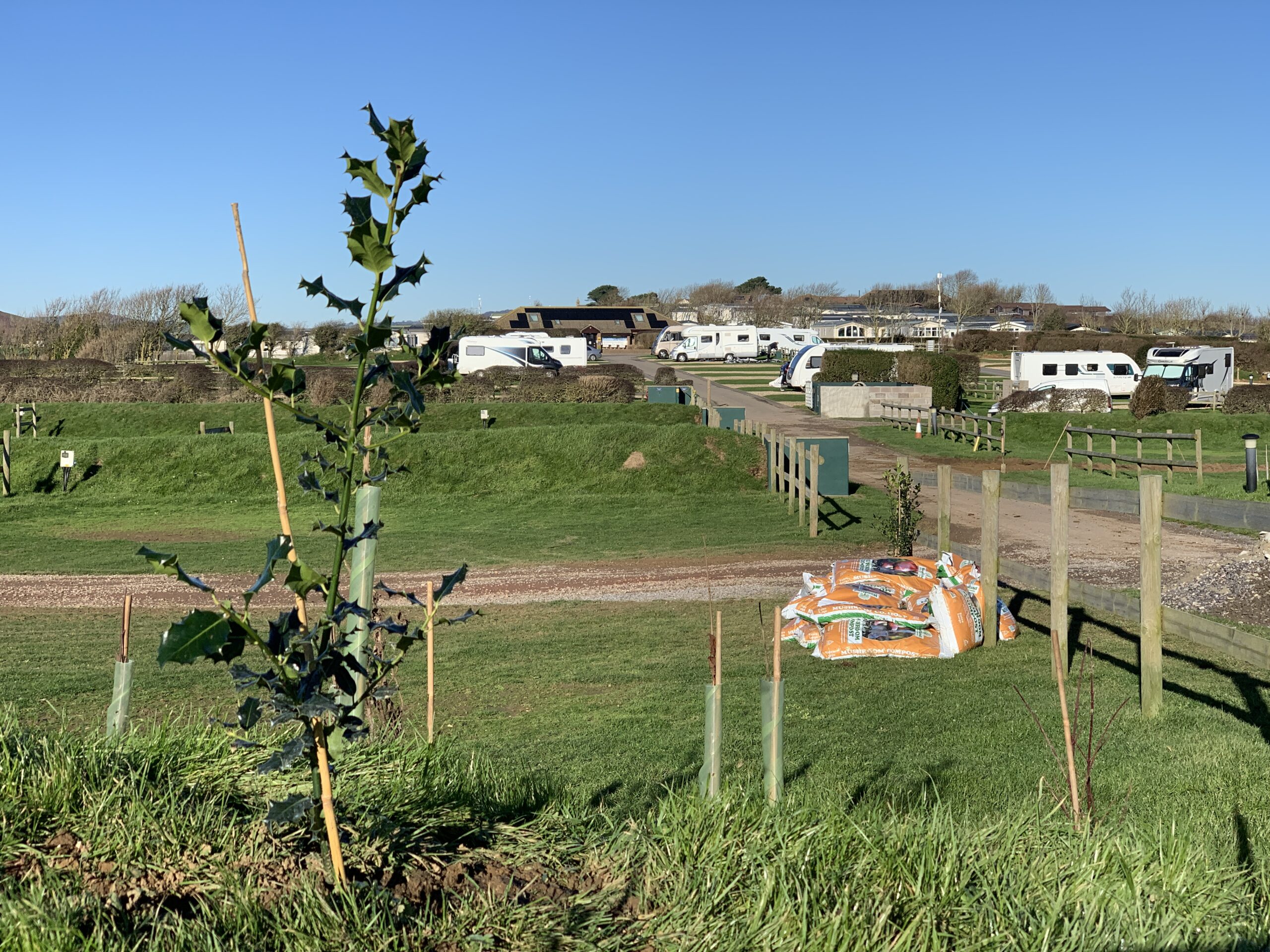 Planting Trees For The Queen's Jubilee - WDLH