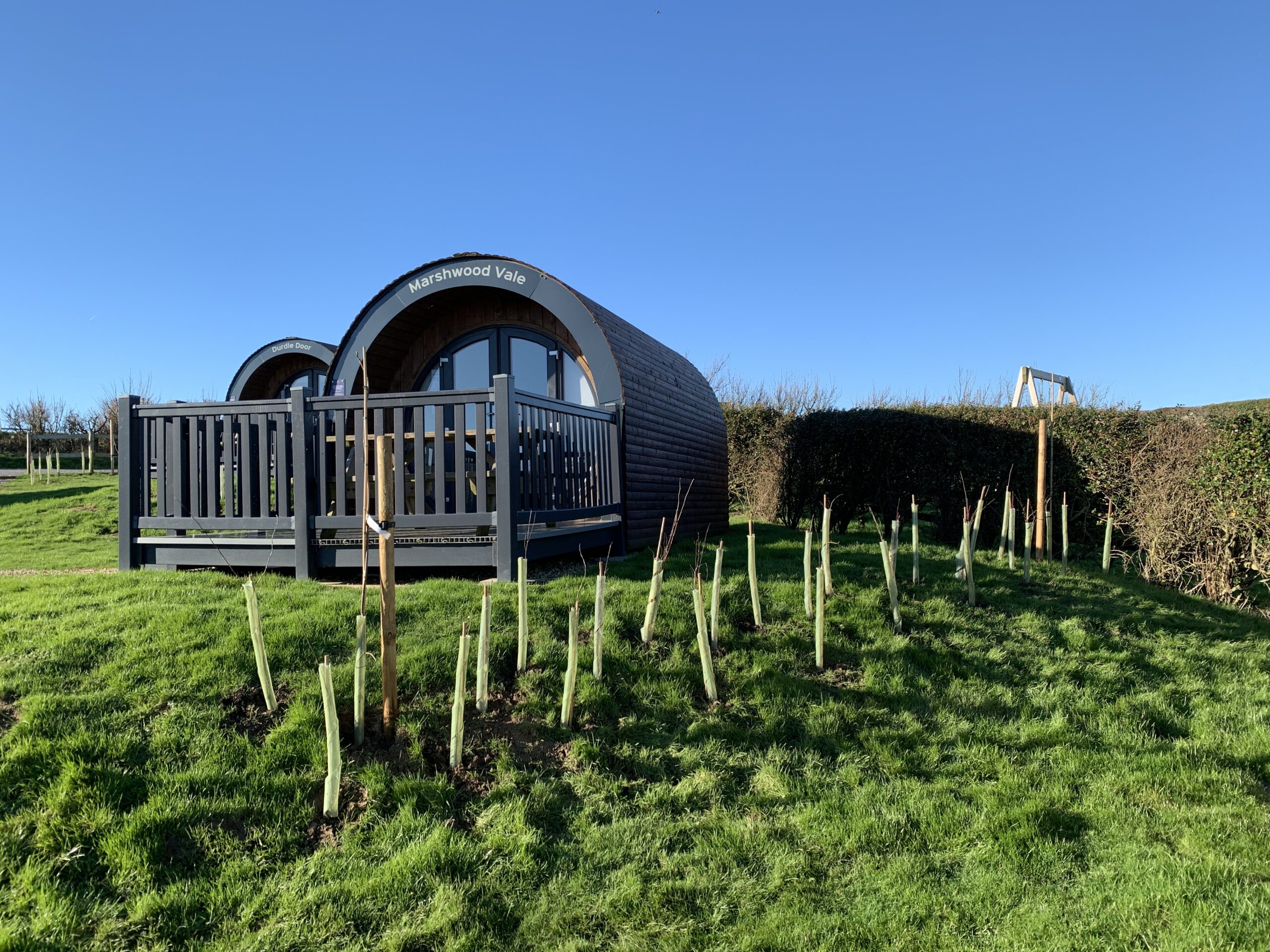 Planting Trees For The Queen's Jubilee - WDLH