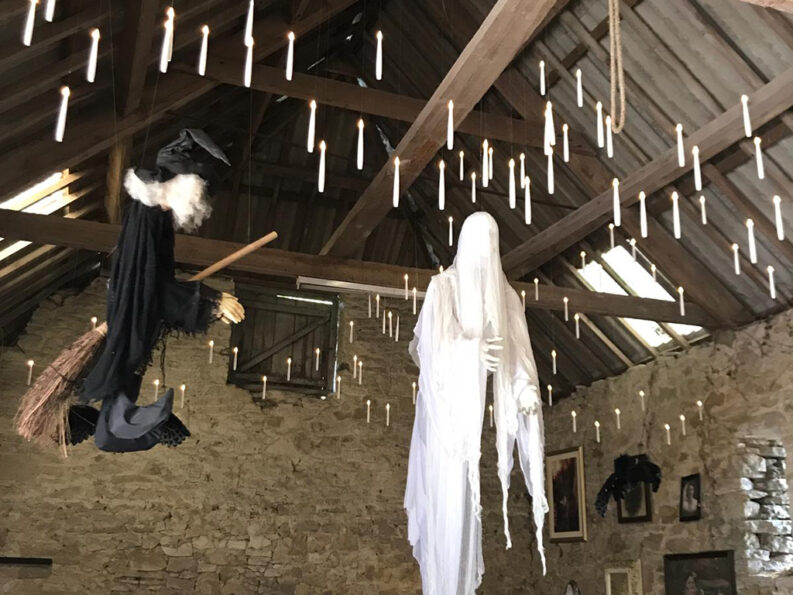 Where to Go Pumpkin Picking in Dorset - West Dorset Leisure Holidays