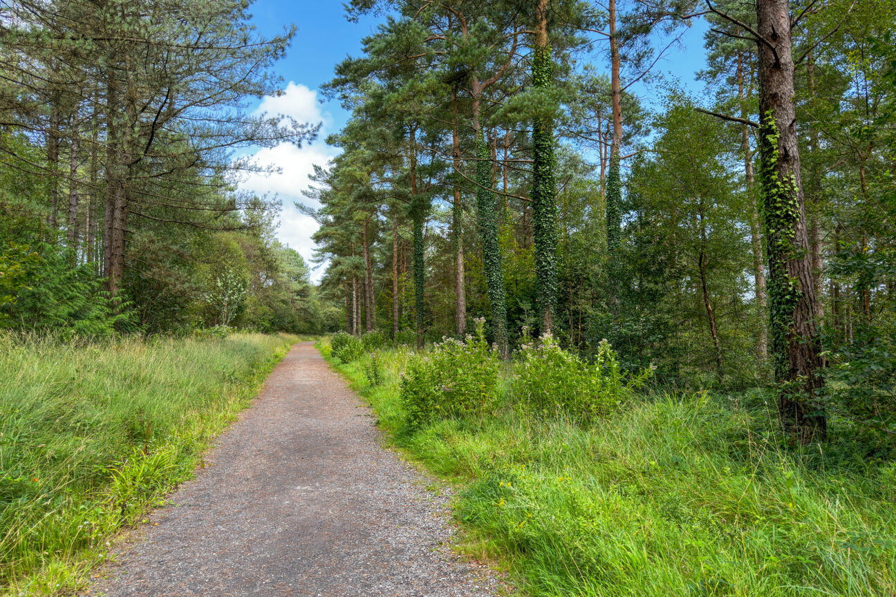 Trinity Hill Nature Reserve - West Dorset Leisure Holidays