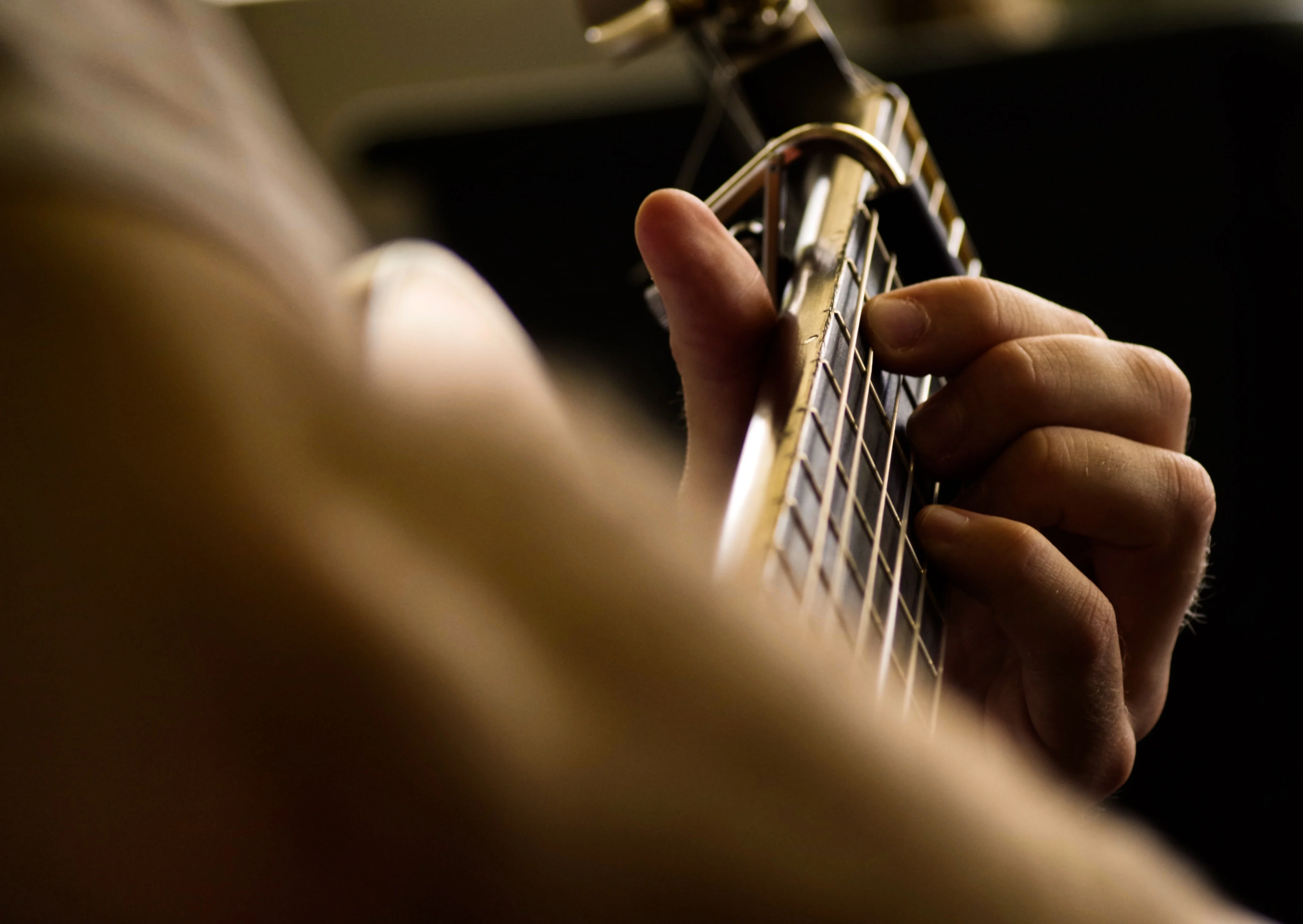 Live Music from Luke Potter - West Dorset Leisure Holidays